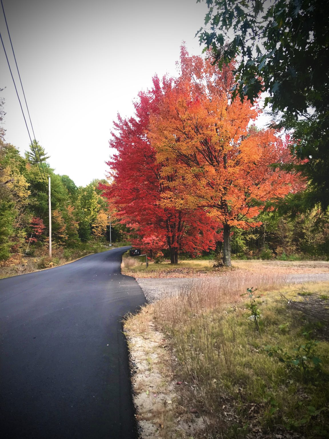 The 11 BEST Things About Fall in New England - awheelinthesky.com